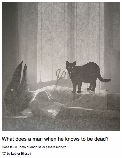 “Chi l’ha visto” Harry Kipper? – Barbara Picci