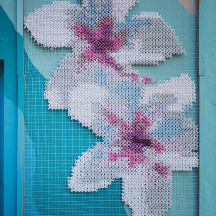 Raquel Rodrigo – Barbara Picci