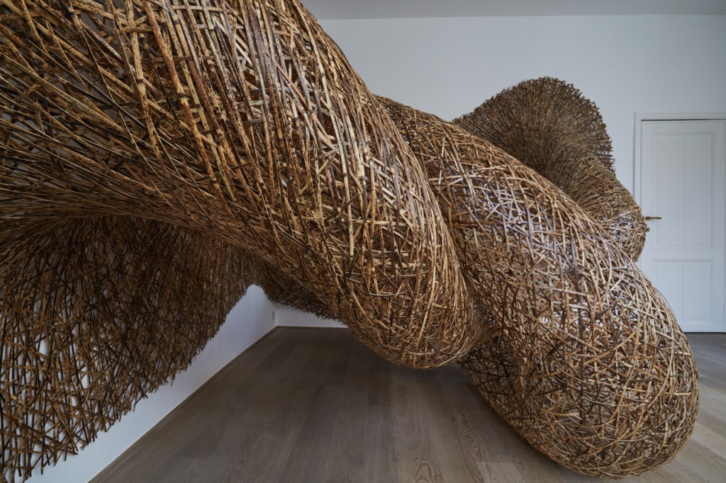 OperArt – Installazione – Tanabe Chikuunsai IV (Giappone) – Barbara Picci