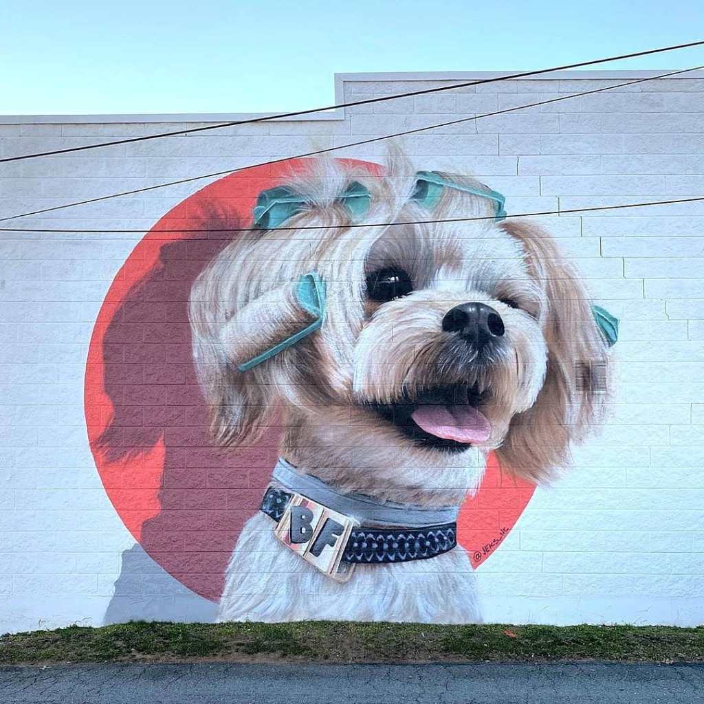 Streetart – JEKS @ Winston-Salem, USA – Barbara Picci