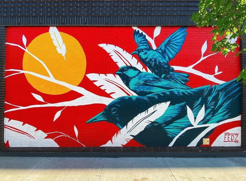 Streetart – Fedz @ Chicago, USA – Barbara Picci