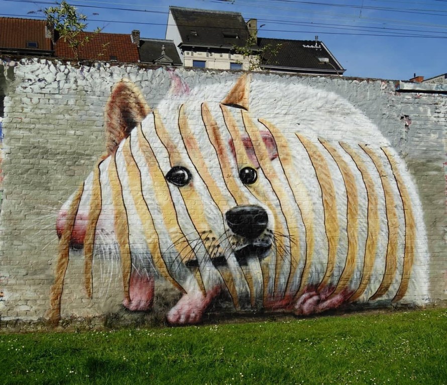 Streetart – Cee Pil @ Ghent, Belgium – Barbara Picci