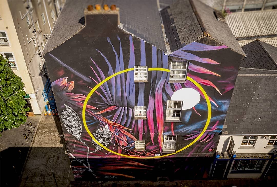 Streetart – Fabio Petani @ Waterford, Ireland – Barbara Picci