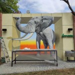 Streetart – Dazer @ Monterrey, Mexico – Barbara Picci