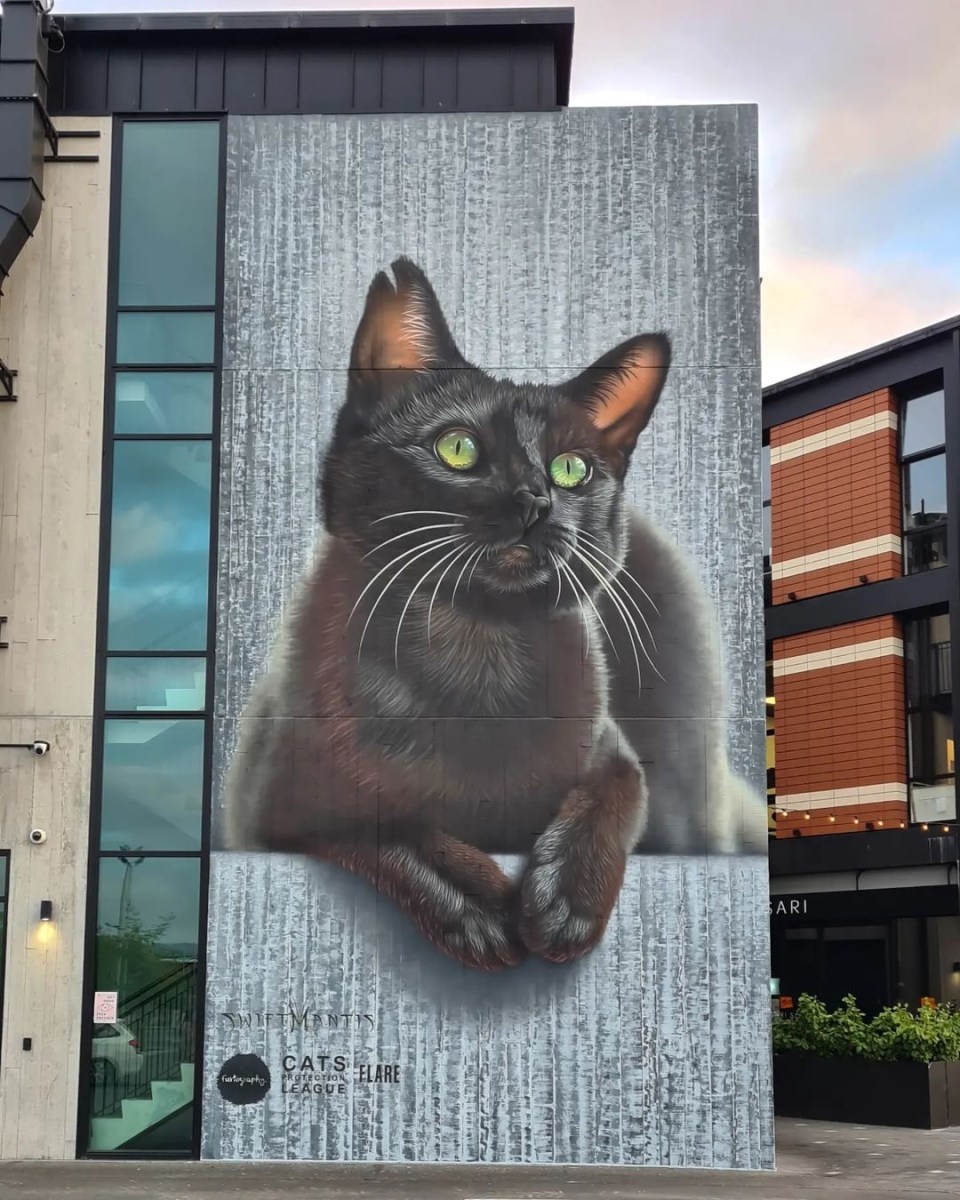 Streetart – Swiftmantis @ Christchurch, New Zealand – Barbara Picci