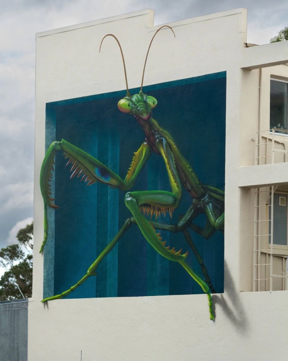 Streetart – Swiftmantis @ Feilding, New Zealand – Barbara Picci