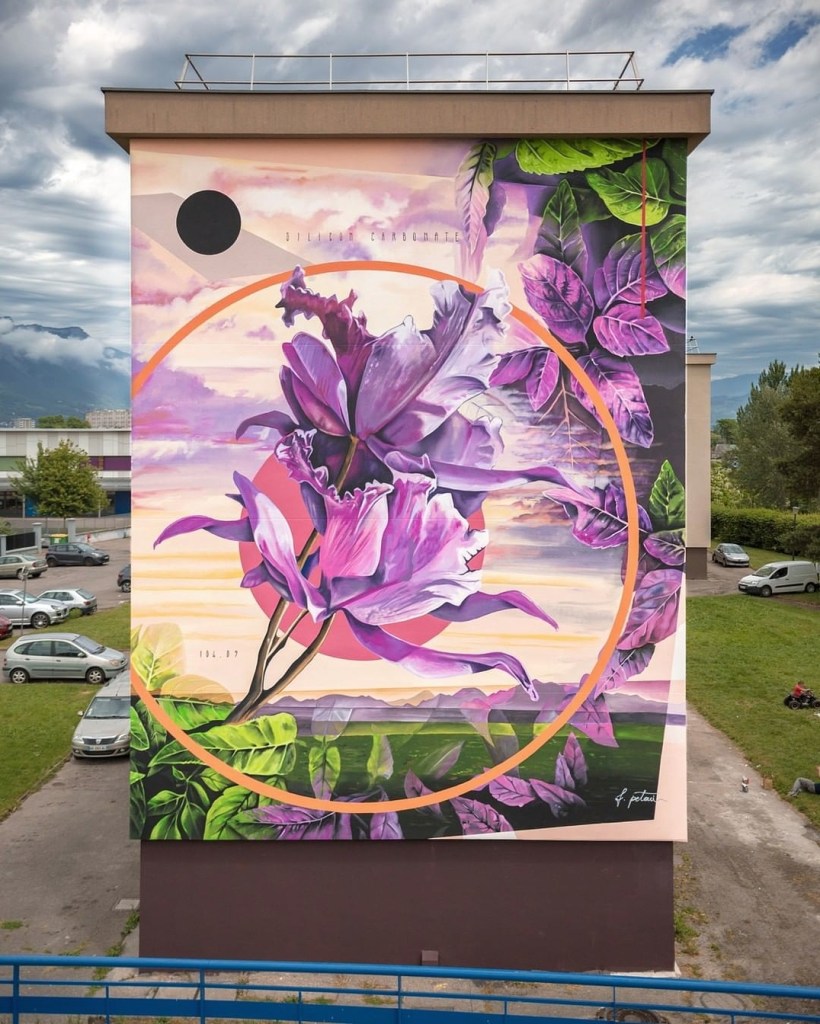 Streetart – Fabio Petani @ Saint-Martin-d’Hères, France – Barbara Picci