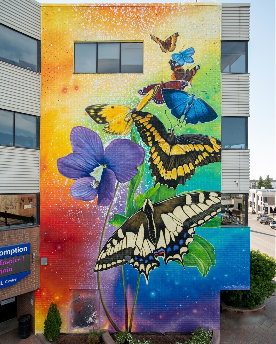 Streetart – Nick Sweetman @ Edmunston, Canada – Barbara Picci