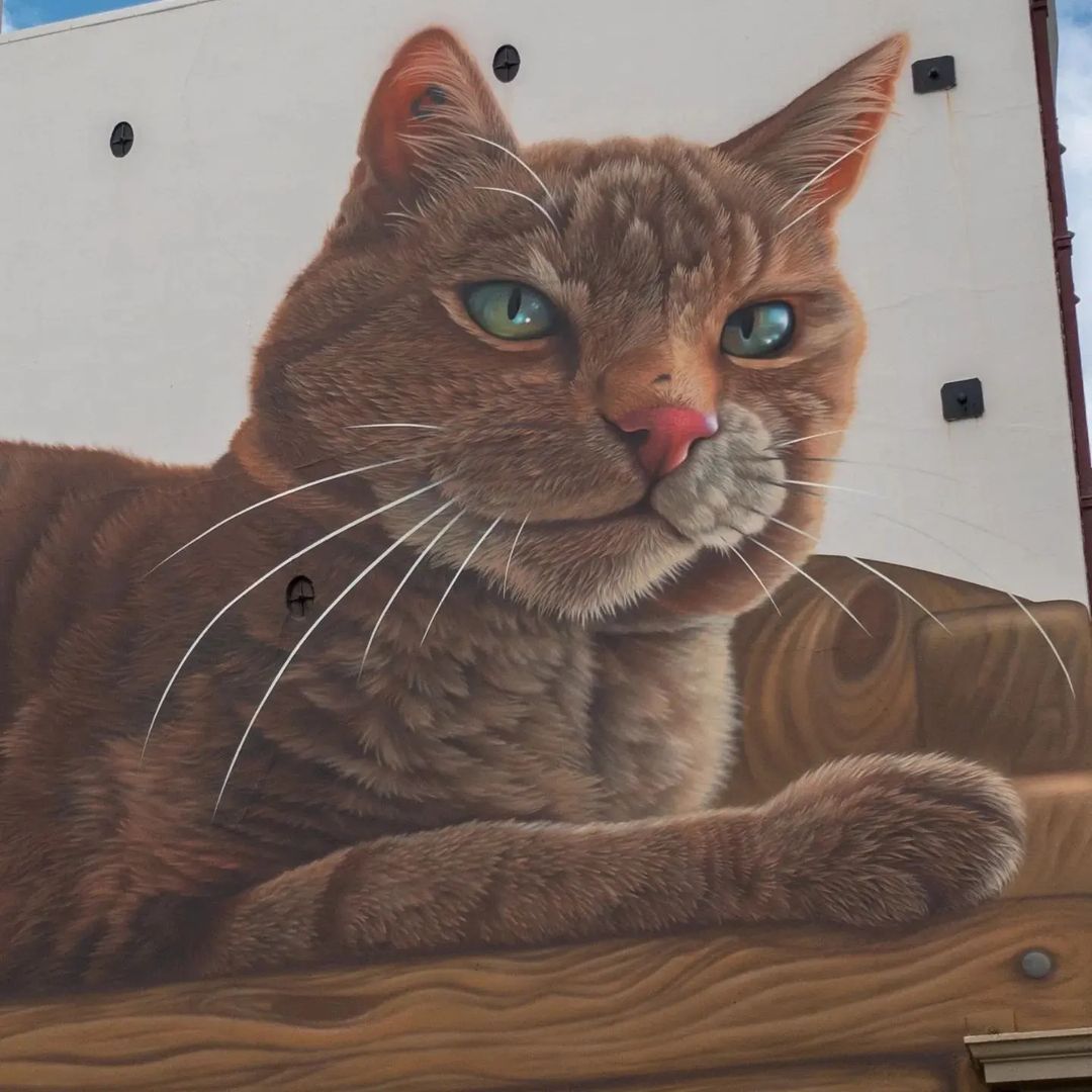 Streetart – Swiftmantis @ Invercargill, New Zealand – Barbara Picci