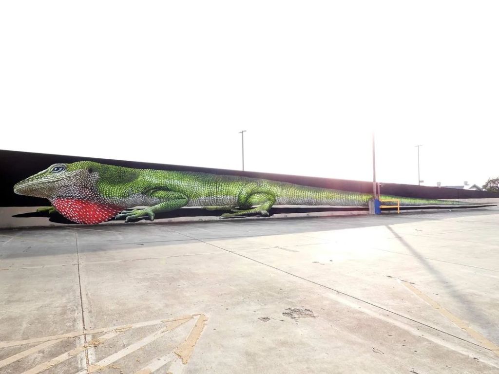 Streetart – Anat Ronen @ Kerrville, Texas, USA – Barbara Picci