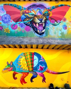 Streetart – Farid Rueda @ Sao Paulo, Brazil – Barbara Picci