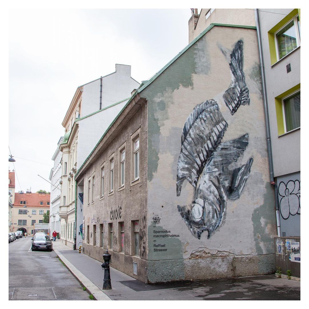 Streetart – Raffael Strasser @ Vienna, Austria – Barbara Picci