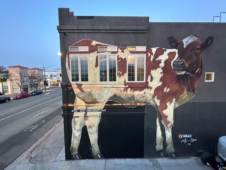 Streetart – Ground Floor Murals @ San Diego, California, USA – Barbara ...