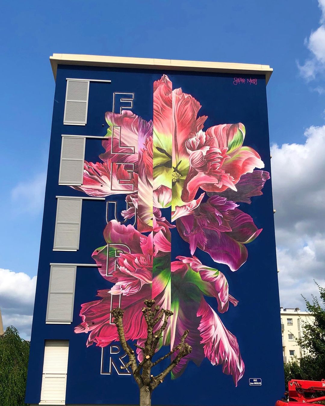 Streetart – Sophie Mess @ Laon, France – Barbara Picci