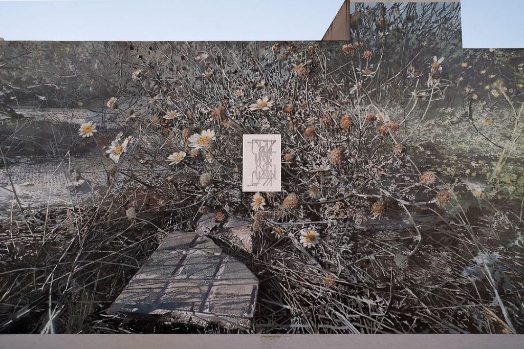 Streetart – Axel Void @ Cadiz, Spain – Barbara Picci
