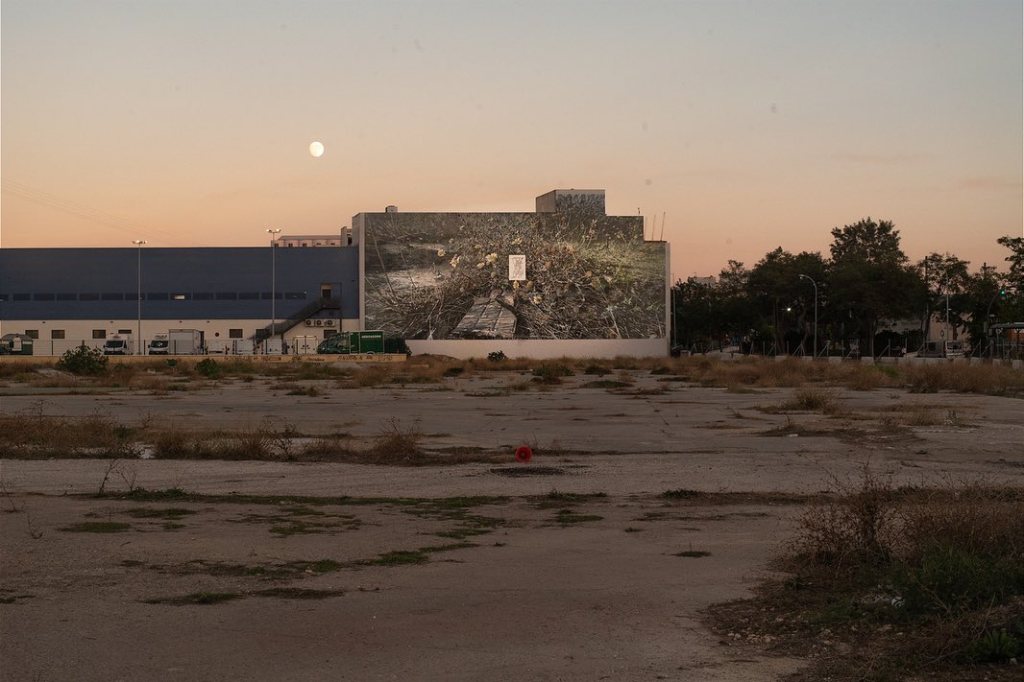 Streetart – Axel Void @ Cadiz, Spain – Barbara Picci