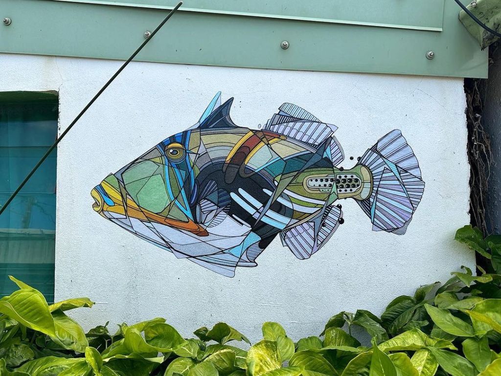 Streetart – Teuthis @ Saint-Pierre, Reunion – Barbara Picci