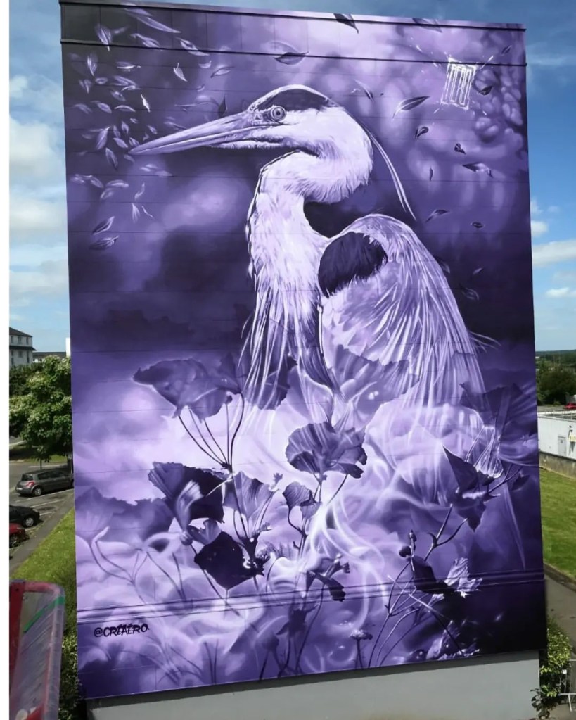 graffiti – Barbara Picci